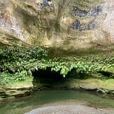 Patuna Chasm Walk, Wellington, New Zealand - 29 Reviews, Map | AllTrails