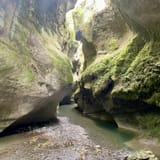 Patuna Chasm Walk, Wellington, New Zealand - 29 Reviews, Map | AllTrails