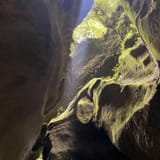 Patuna Chasm Walk, Wellington, New Zealand - 29 Reviews, Map | AllTrails