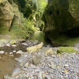 Patuna Chasm Walk, Wellington, New Zealand - 29 Reviews, Map | AllTrails