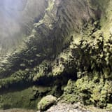 Patuna Chasm Walk, Wellington, New Zealand - 29 Reviews, Map | AllTrails