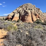 Yellow Knolls Trail, Utah - 437 Reviews, Map | AllTrails