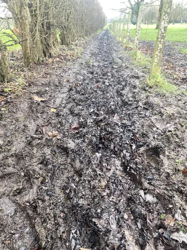 Best Hikes and Trails in Wythenshawe Park | AllTrails Best Hikes and Trails in Wythenshawe Park | AllTrails