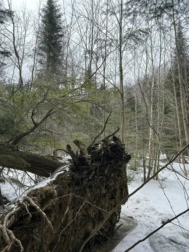 Best Hikes and Trails in Elmore State Park | AllTrails