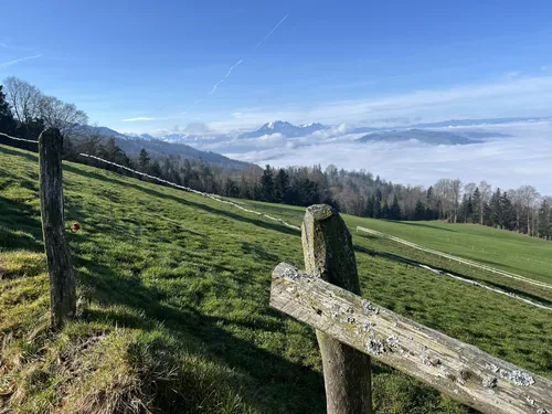 Zugerberg: Die schönsten Routen zum Wandern | AllTrails