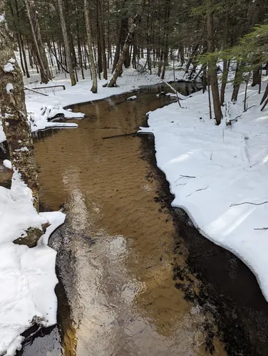 Best Hikes and Trails in Allan and Virginia McCune Nature Preserve ...