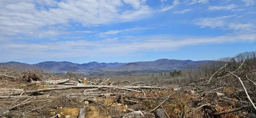 Best Hikes and Trails in Lone Mountain State Forest | AllTrails