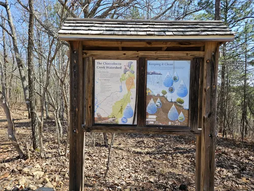 Best Moderate Trails in Coldwater Mountain Doug Ghee Nature Preserve ...