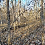 Deer Run Trail, Missouri - 822 Reviews, Map | AllTrails