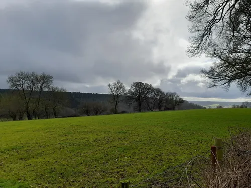 Best Hikes and Trails in Aston Rowant National Nature Reserve | AllTrails