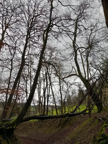 Best Hikes and Trails in Aston Rowant National Nature Reserve | AllTrails