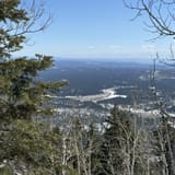 Bill Williams Mountain Trail, Arizona - 547 Reviews, Map | AllTrails