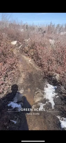 Best Hikes and Trails in Mcintosh Run Regional Park | AllTrails