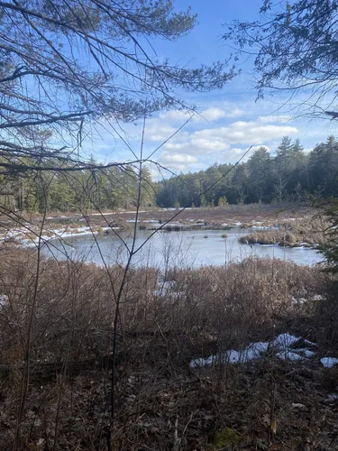 Best Hikes and Trails in Knight's Pond Conservation Area | AllTrails