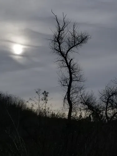 Best Hikes and Trails in Brea Dam Recreation Area | AllTrails