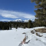 Meadow Loop and Ridge Trail, Colorado - 3,234 Reviews, Map | AllTrails