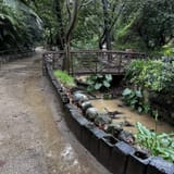 Ferndell to the West Observatory Loop Trail to Griffith Observatory ...