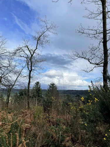 Best Short Trails in Blackdown Hills National Landscape (AONB) | AllTrails