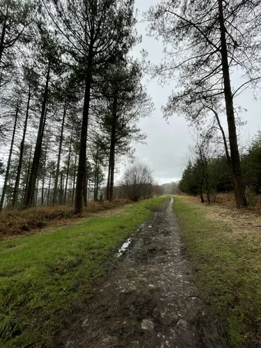 Best Short Trails in Blackdown Hills National Landscape (AONB) | AllTrails