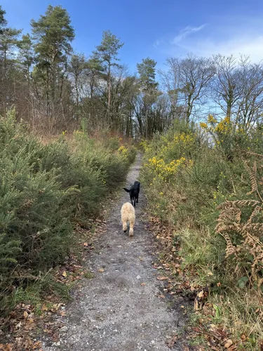 Best Short Trails in Blackdown Hills National Landscape (AONB) | AllTrails