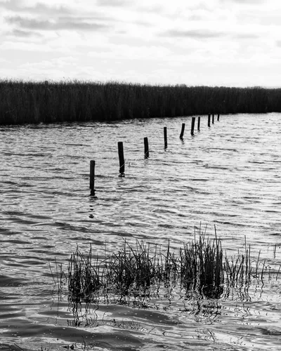 Best Hikes and Trails in Farlington Marshes Nature Reserve | AllTrails