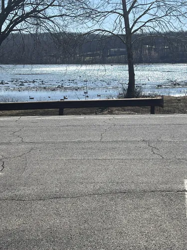 Best Hikes and Trails in Lake Springfield Park | AllTrails