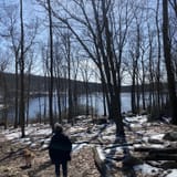 Pine Swamp Loop, New York - 1,220 Reviews, Map | AllTrails