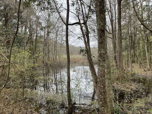 Best Hikes and Trails in Alfred B. Maclay Gardens State Park | AllTrails