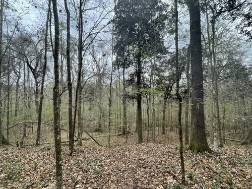 Best Hikes and Trails in Alfred B. Maclay Gardens State Park | AllTrails