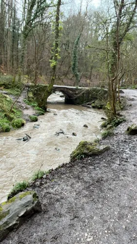 Best Hikes and Trails in Wepre Park | AllTrails