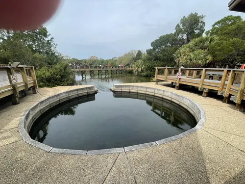 Best Hikes and Trails in Wall Springs Park | AllTrails