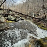 Fallingwater Cascades Trail, Virginia - 775 Reviews, Map | AllTrails