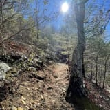 Fallingwater Cascades Trail, Virginia - 775 Reviews, Map | AllTrails