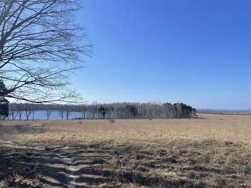 Best Hikes and Trails in Maplehurst Natural Area | AllTrails