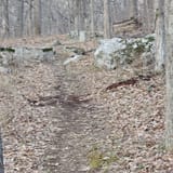 Johnny Reb Trail, Pennsylvania - 535 Reviews, Map | AllTrails
