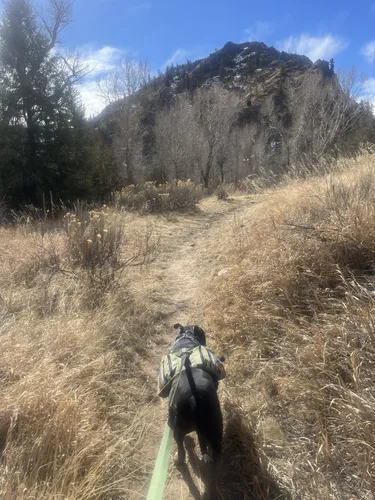 Best River Trails in Livermore | AllTrails