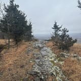 Giuffrida Park Loop, Connecticut - 1,627 Reviews, Map | AllTrails