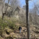 Rimrock Overlook Trail, Pennsylvania - 506 Reviews, Map | AllTrails