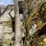 Rimrock Overlook Trail, Pennsylvania - 506 Reviews, Map | AllTrails