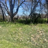 Landa Park Loop, Texas - 451 Reviews, Map | AllTrails