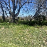 Landa Park Loop, Texas - 451 Reviews, Map | AllTrails