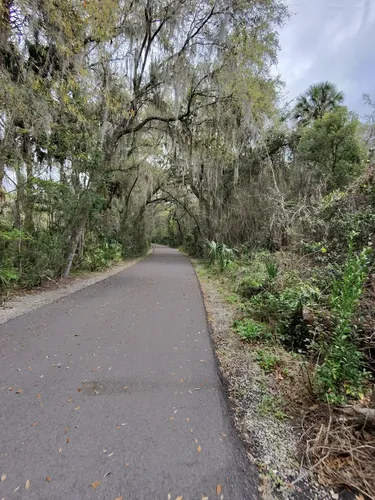 Best Hikes and Trails in Gemini Springs Park | AllTrails