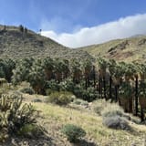 Victor Loop, California - 1,472 Reviews, Map | AllTrails