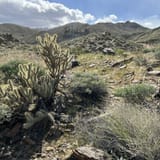 Victor Loop, California - 1,472 Reviews, Map | AllTrails