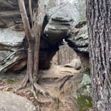 Garden of the Gods Trail, Illinois - 555 Reviews, Map | AllTrails