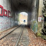 Point Lookout Trail, North Carolina - 626 Reviews, Map | AllTrails