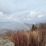 Sam Knob Trail, North Carolina - 1,369 Reviews, Map | AllTrails