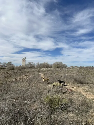 Best Walking Trails in Lubbock | AllTrails