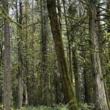 Evergreen Beach Trail, Washington - 694 Reviews, Map | AllTrails