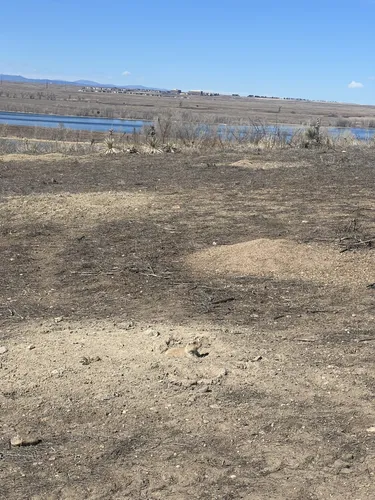 Best Hikes and Trails in Standley Lake Regional Park | AllTrails